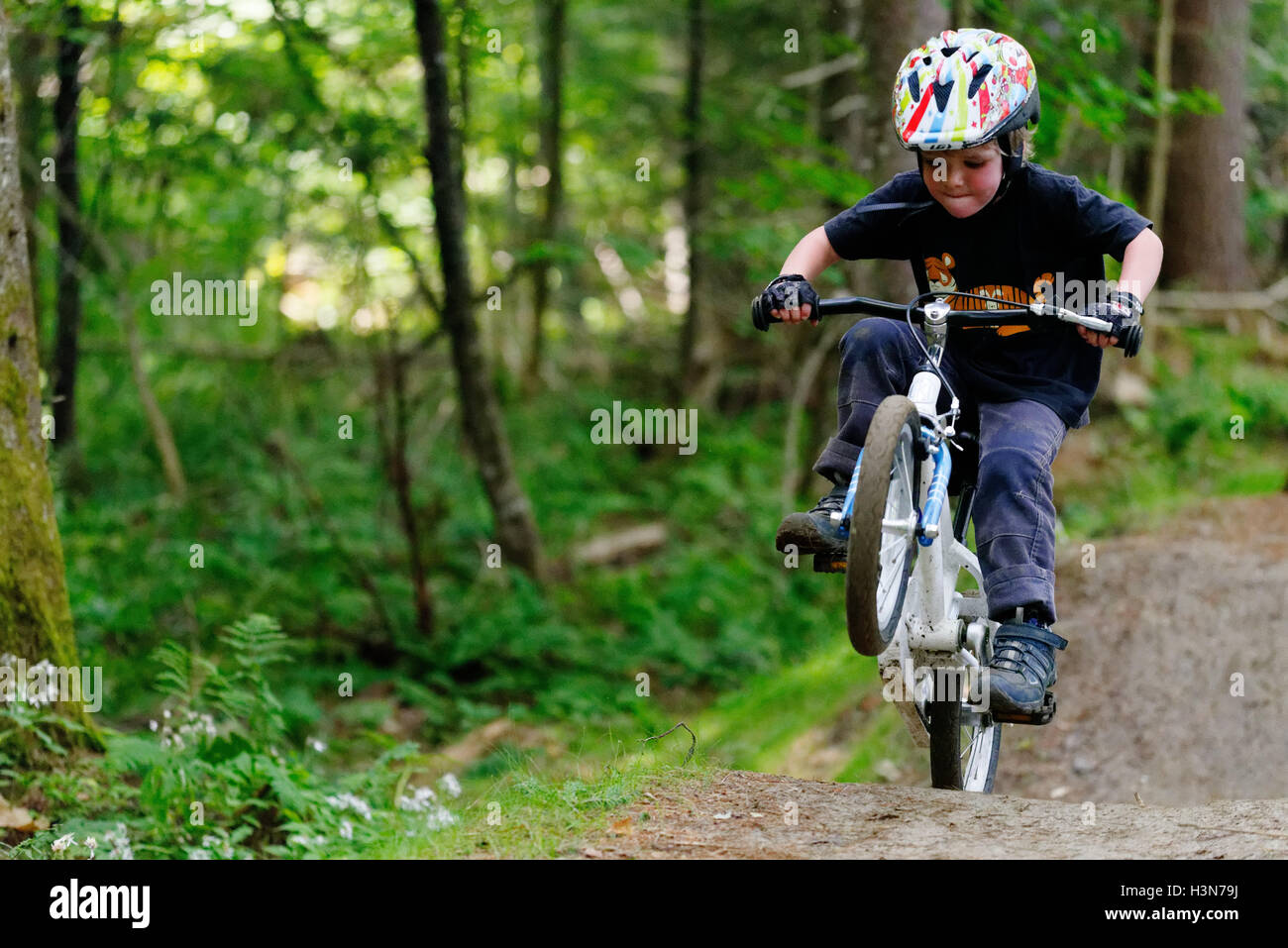 A young boy (4 yrs old) popping a wheelie on a pump track Stock Photo ...