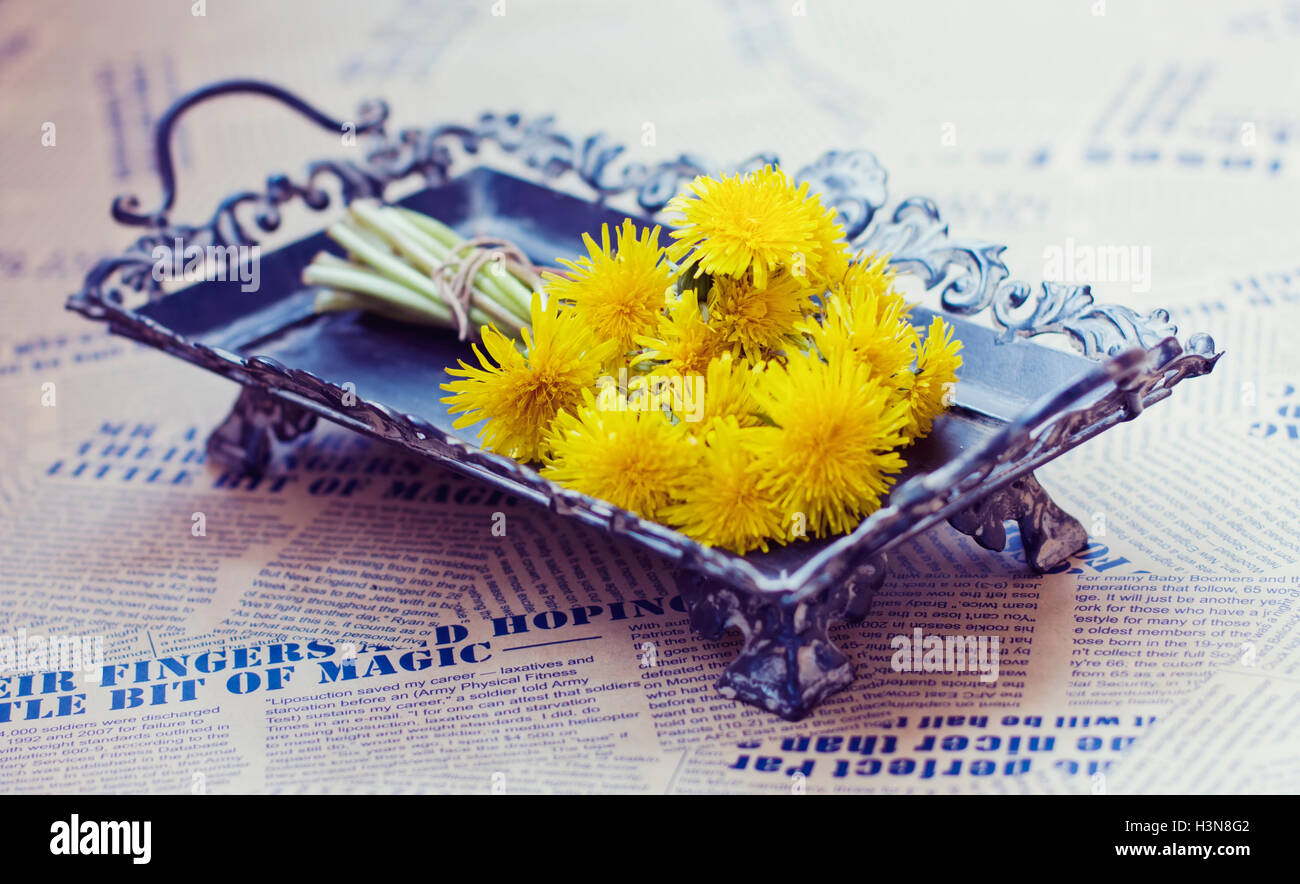 Dandelion on a tray with newspaper background Stock Photo - Alamy
