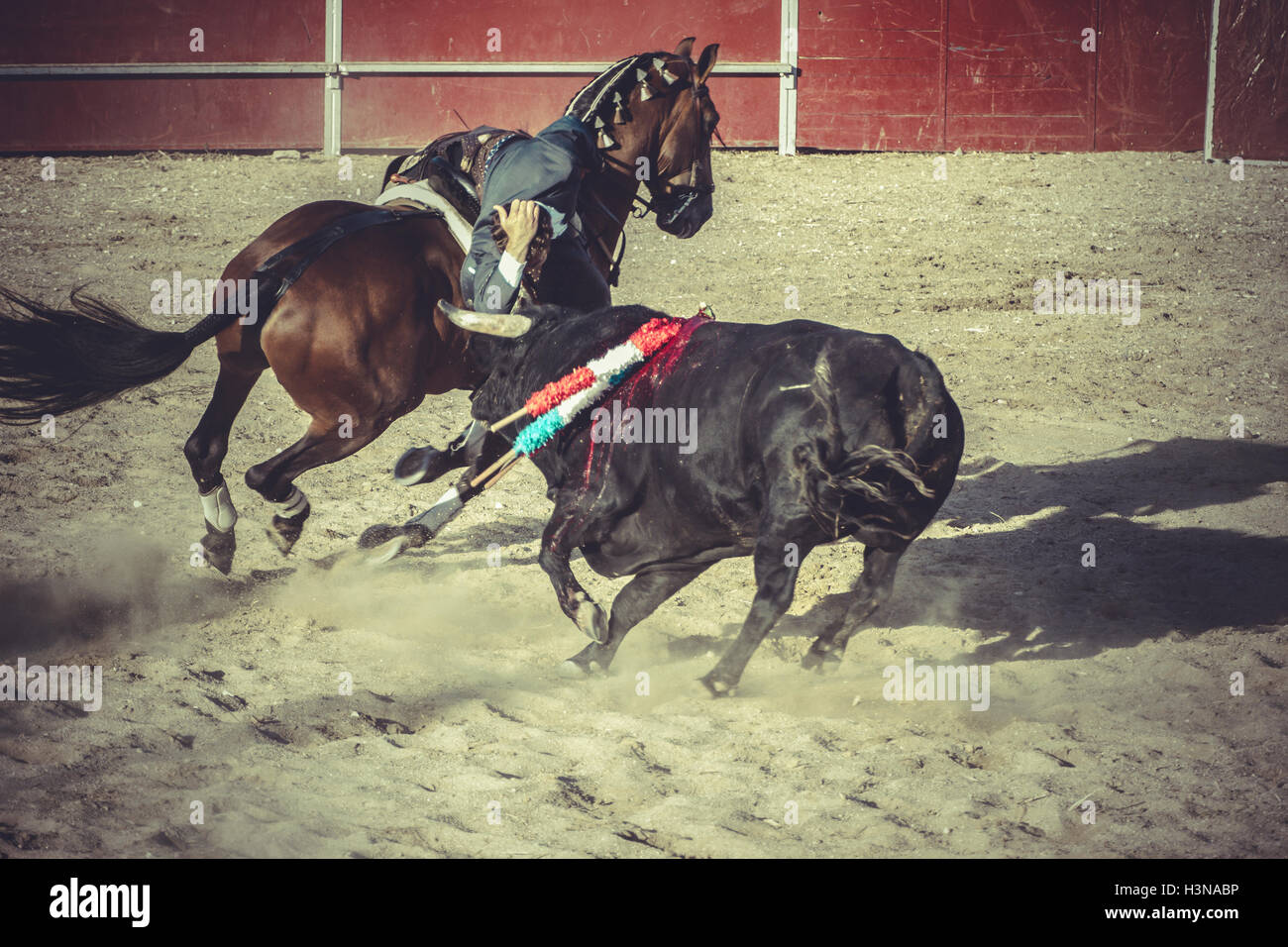 blood bullfight, traditional Spanish party where a matador fight Stock ...