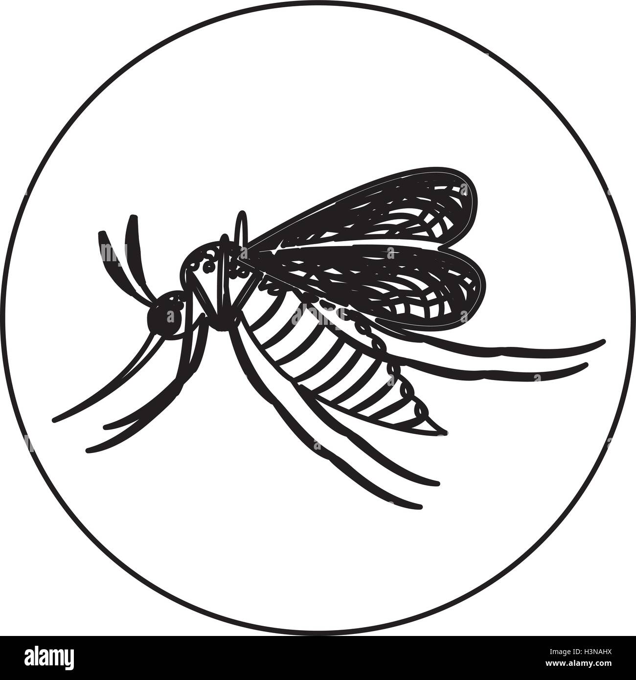 Isolated and silhouette mosquito design Stock Vector Image & Art - Alamy