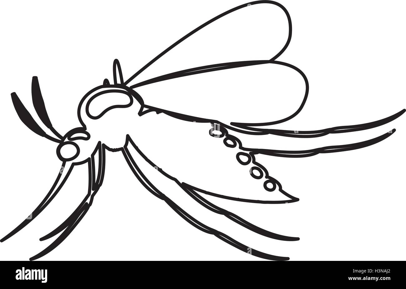 Isolated and silhouette mosquito design Stock Vector Image & Art - Alamy