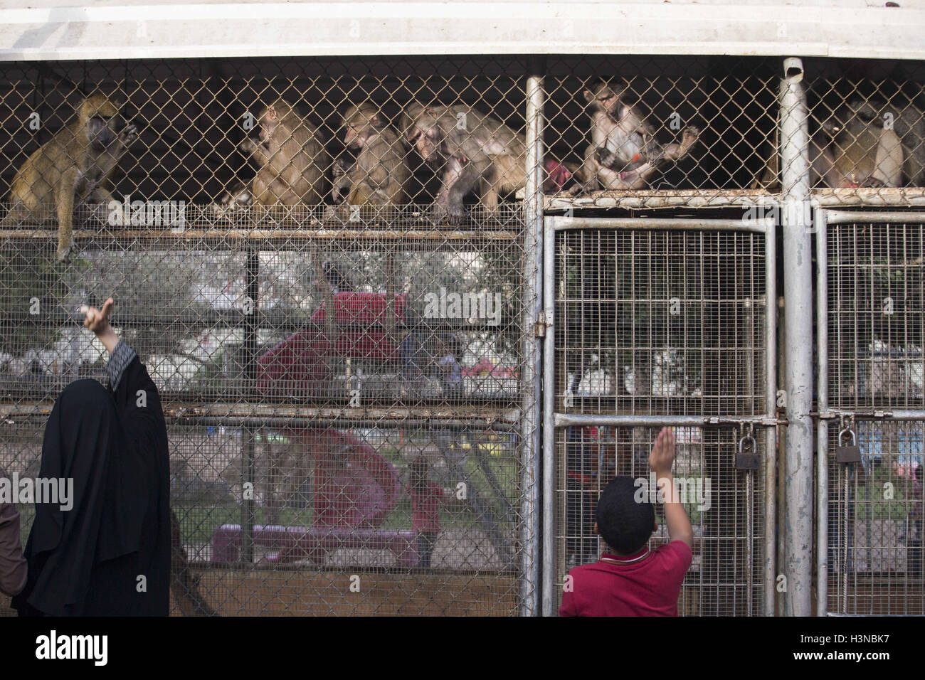 Gaza City, The Gaza Strip, Palestine. 9th Oct, 2016. Palestinians ...