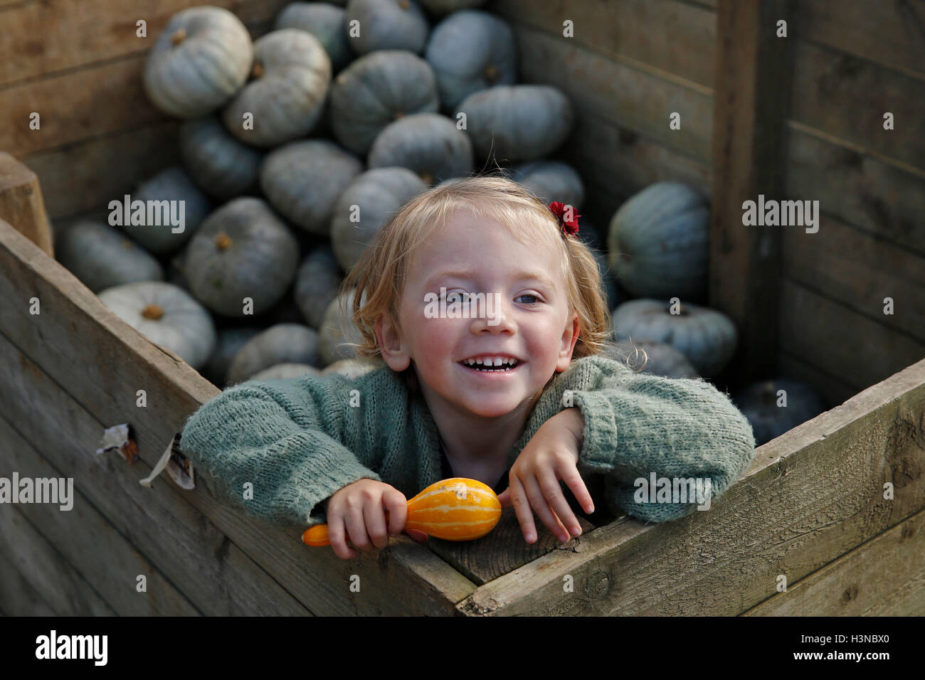 Eleanor fry hi-res stock photography and images - Alamy
