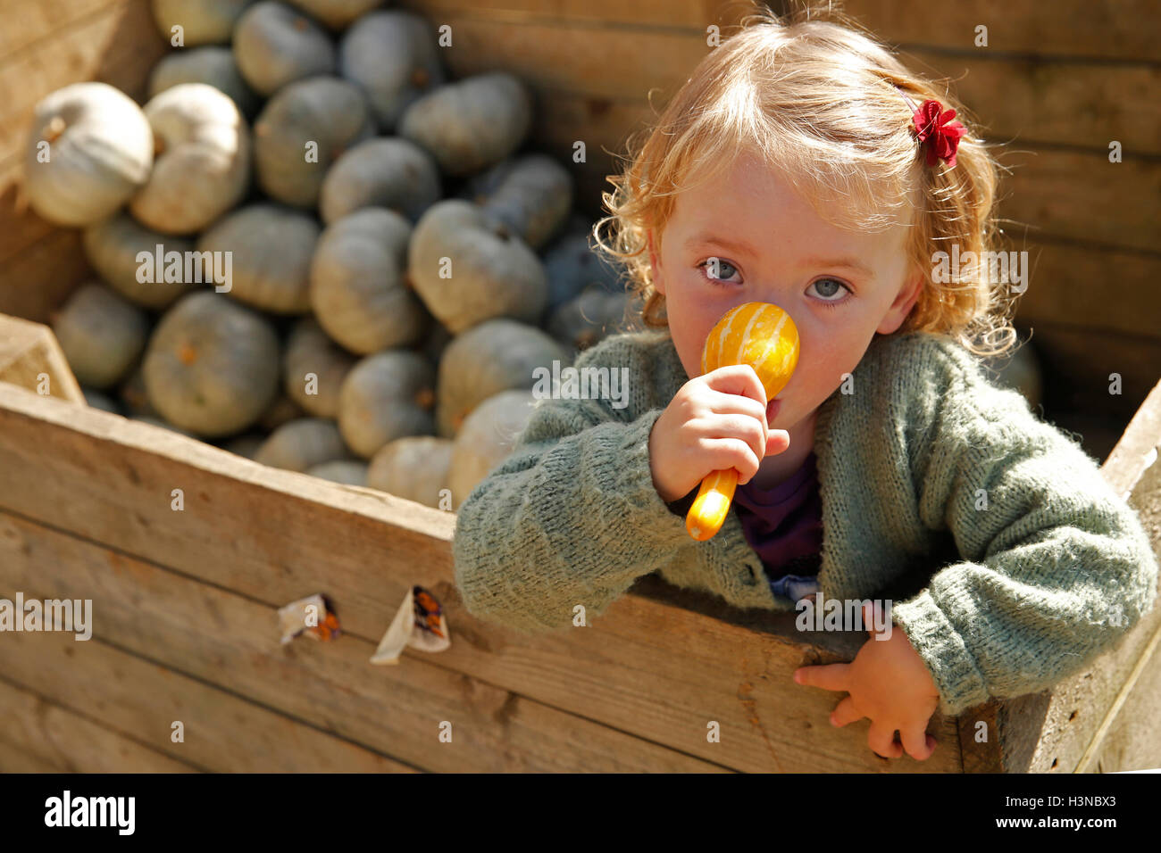 Eleanor fry hi-res stock photography and images - Alamy