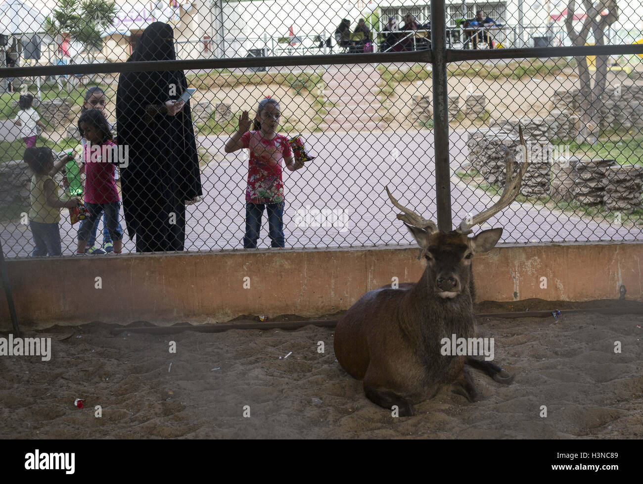 Gaza City, The Gaza Strip, Palestine. 9th Oct, 2016. Deer at NAMA'A Zoo ...
