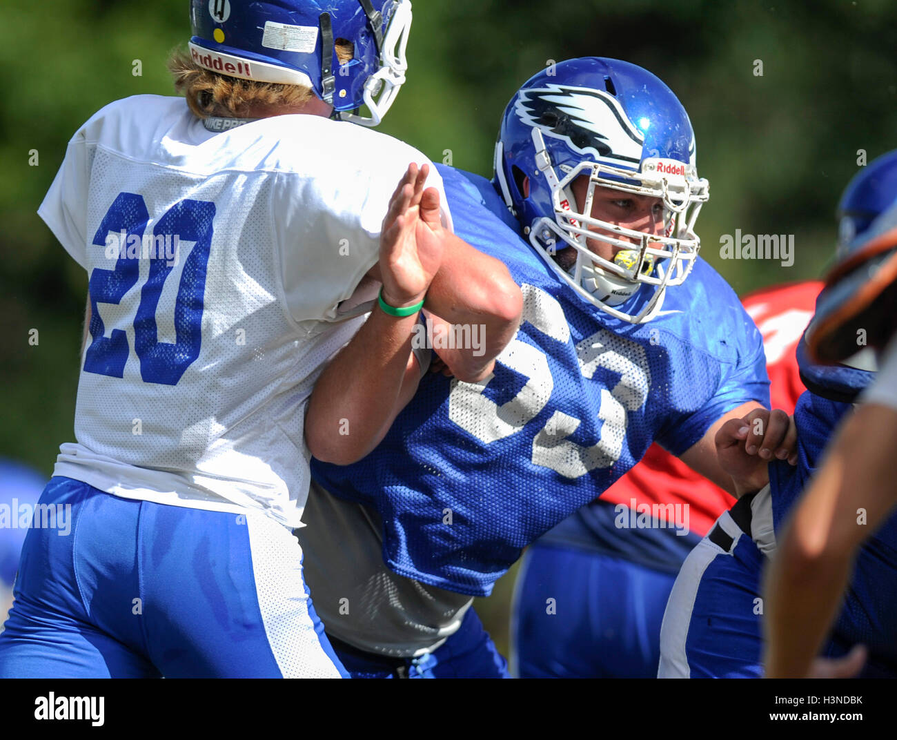 Tarpon Springs, Florida, USA. 10th Oct, 2016. CHRIS URSO | Times.Joe ...
