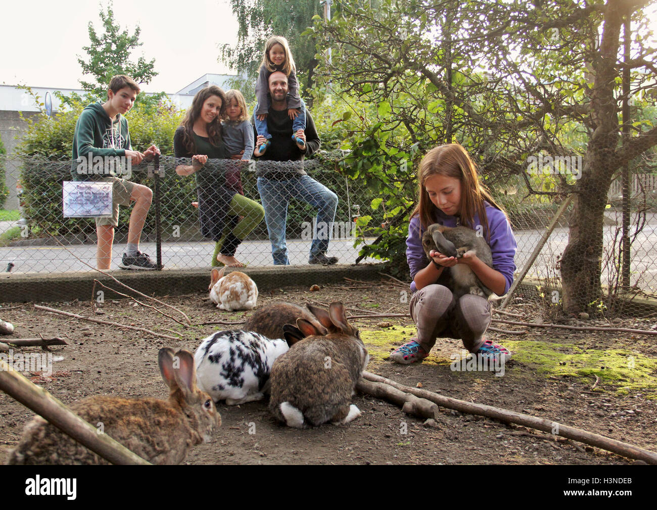 Seven rabbits hi-res stock photography and images - Alamy
