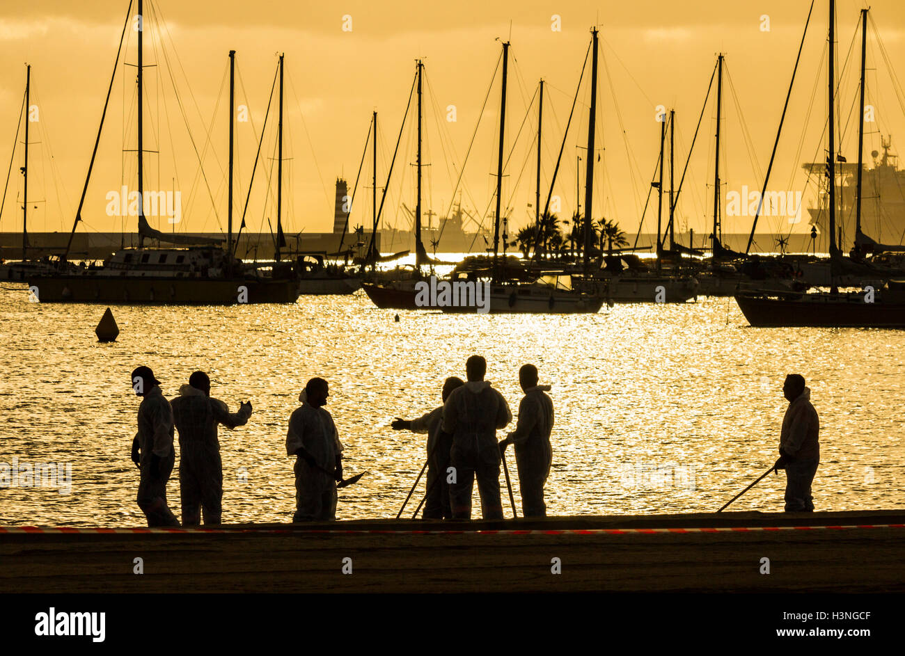 Cleaning city beach near container port following oil/fuel spill Stock ...