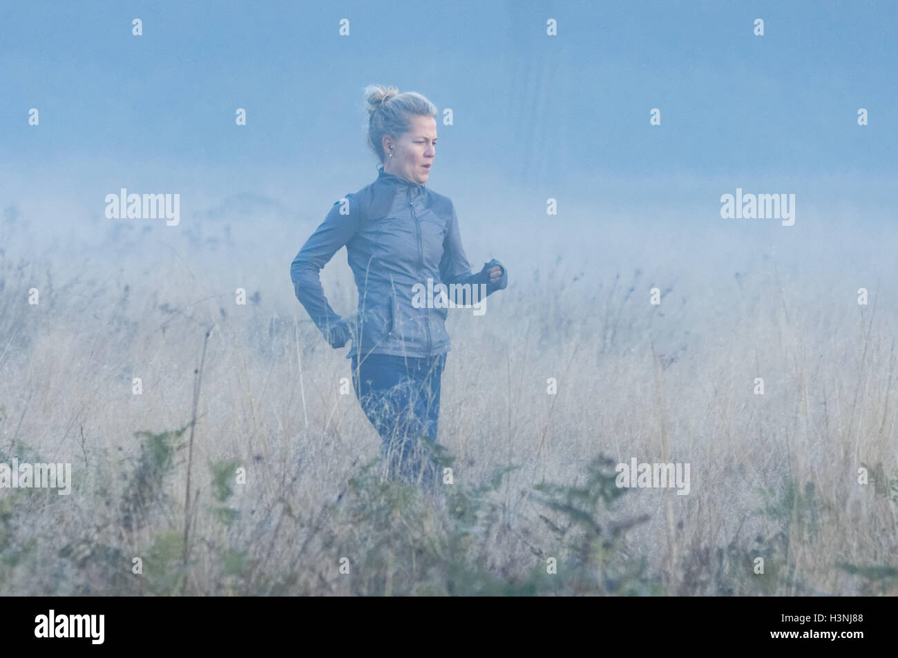 People enjoying misty morning in Richmond Park, London England United ...