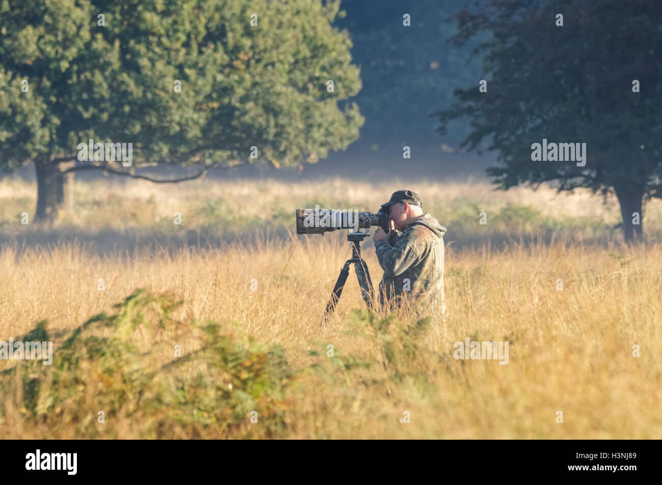 Amateur photographer england hi-res stock photography and images - Alamy