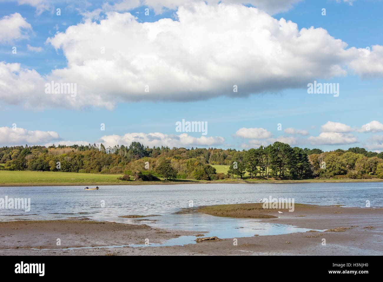 River Cleddau, Hook, Haverfordwest, Pembrokeshire, Wales, UK. 11th ...