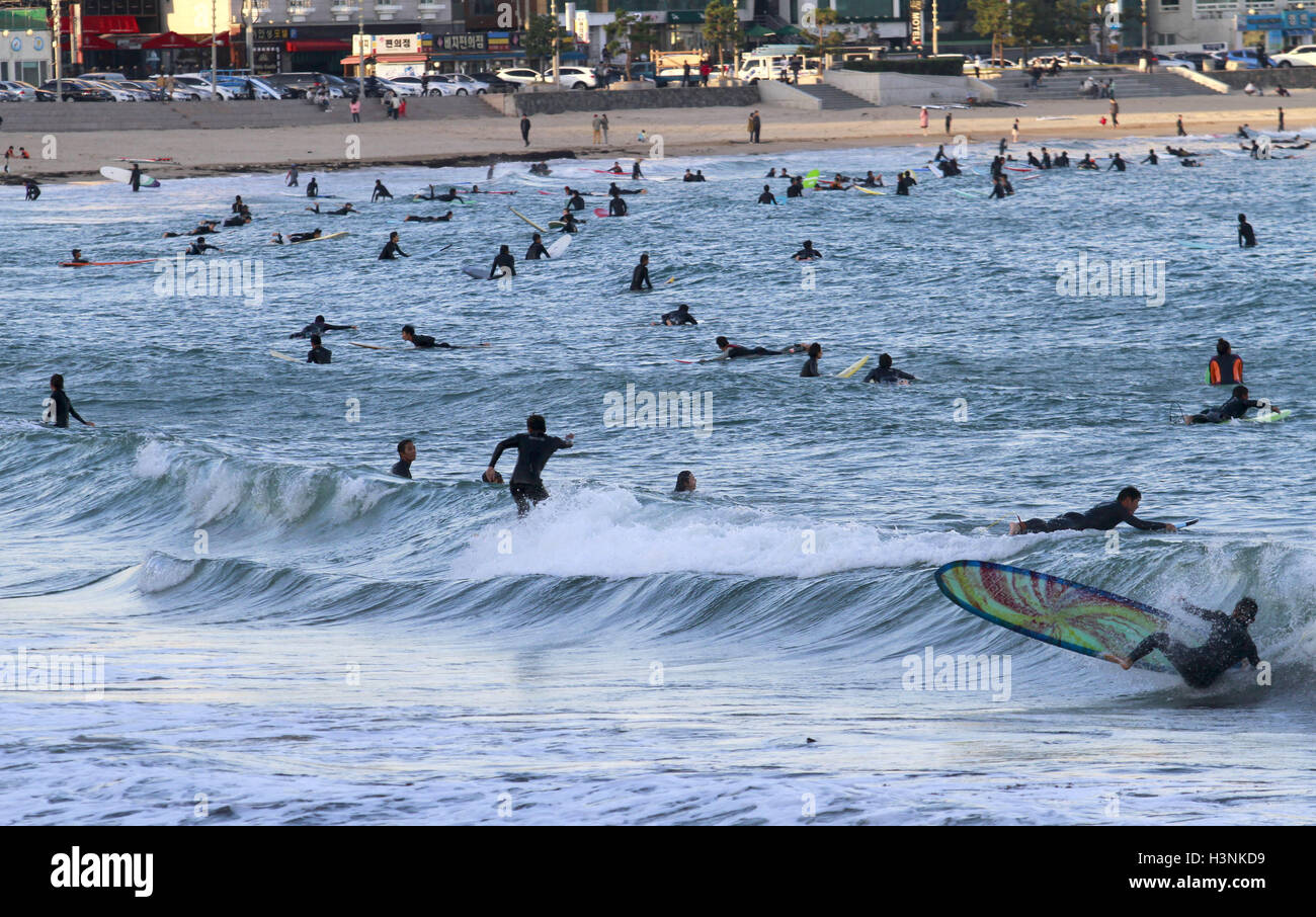 Busan, South Korea. 10th Oct, 2016. A lot of surfers on Songjeong beach ...