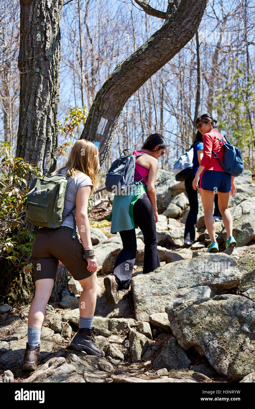 Rear view of four female hikers hiking in forest, Harriman State Park ...