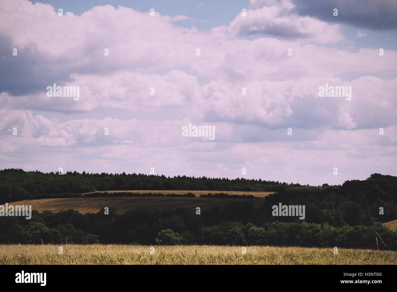 English rural countryside around the Chilterns in England Vintage Retro ...