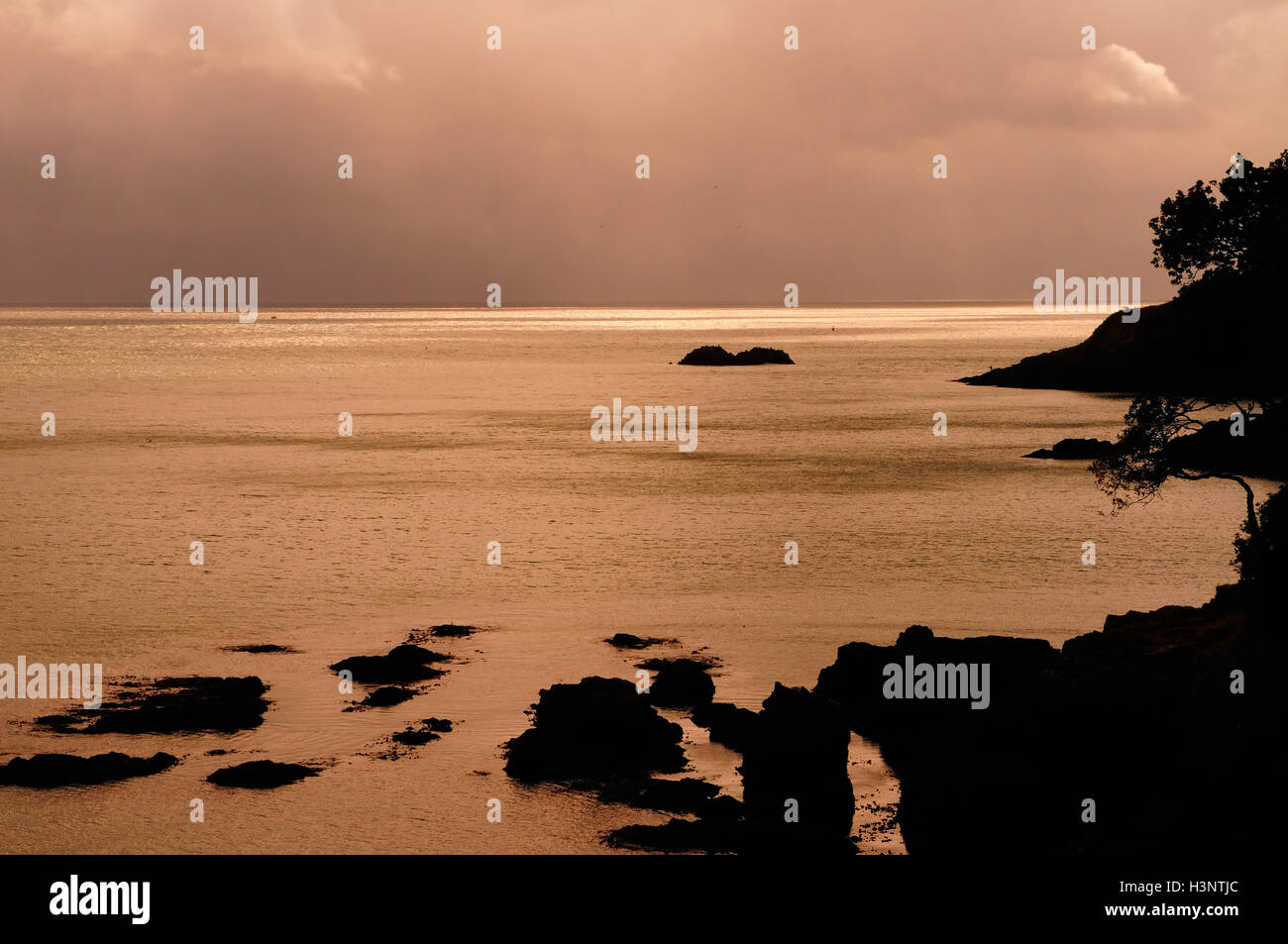 South Devon seascape Stock Photo - Alamy