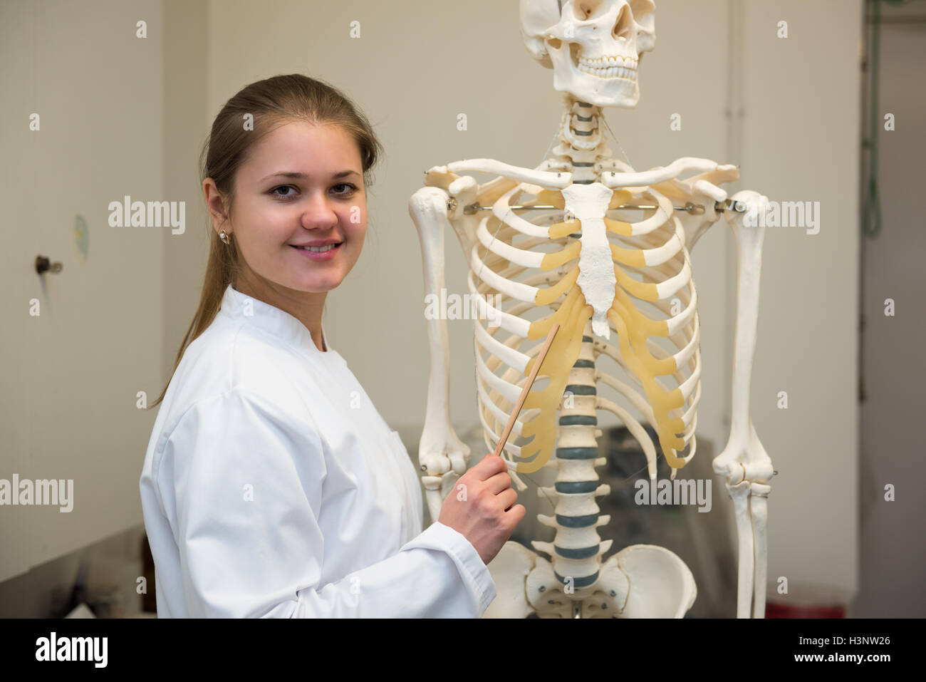 Doctor skeleton anatomy hi-res stock photography and images - Alamy