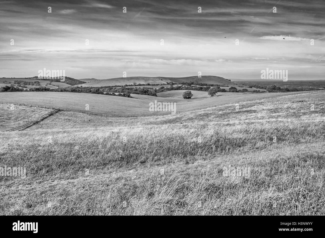 Autumn blue sky Black and White Stock Photos & Images - Alamy