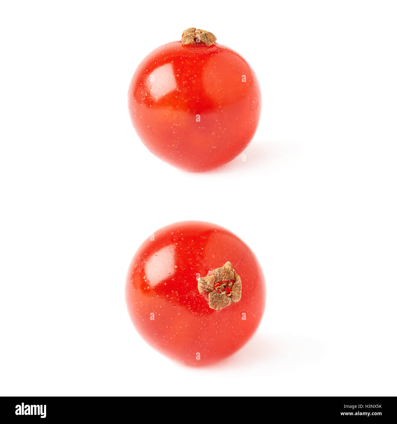 Set of Single Red Currant isolated over white background Stock Photo ...