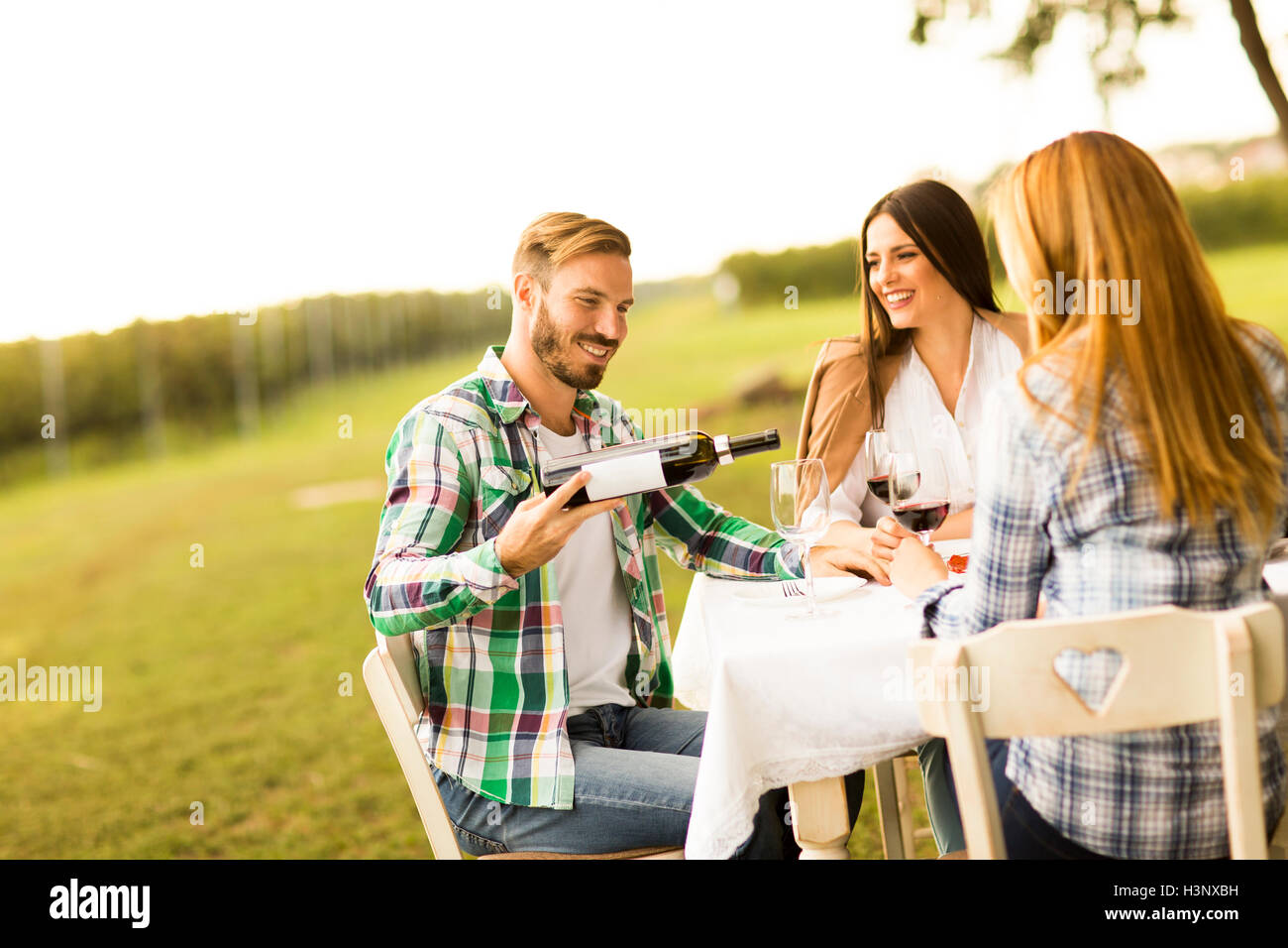 Young people enjoy dinner and wine tasting in the vineyard Stock Photo ...