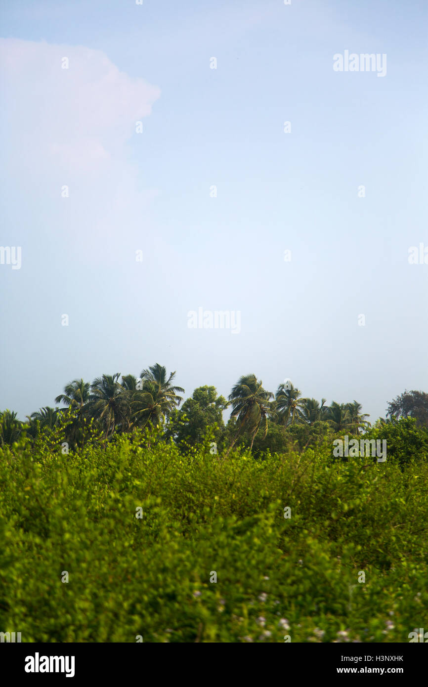 Goa scenic view hi-res stock photography and images - Alamy