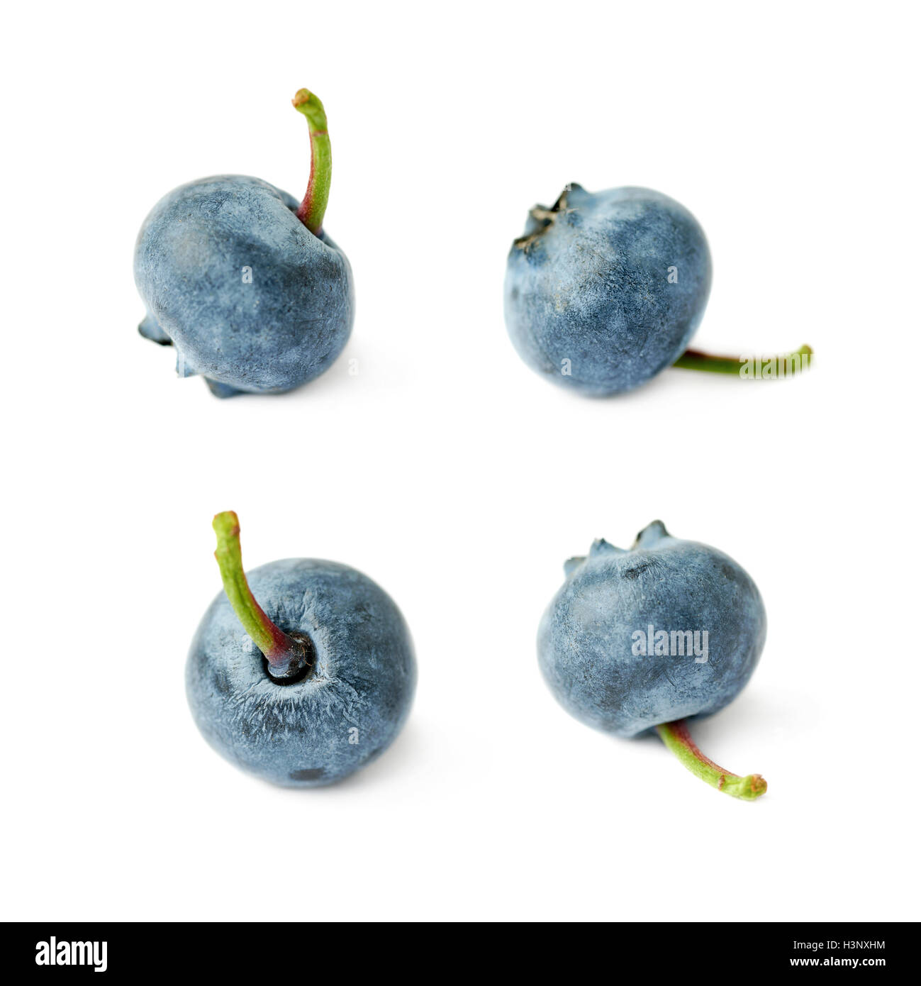 Set of Single berry of Bilberry or blueberry over isolated white ...
