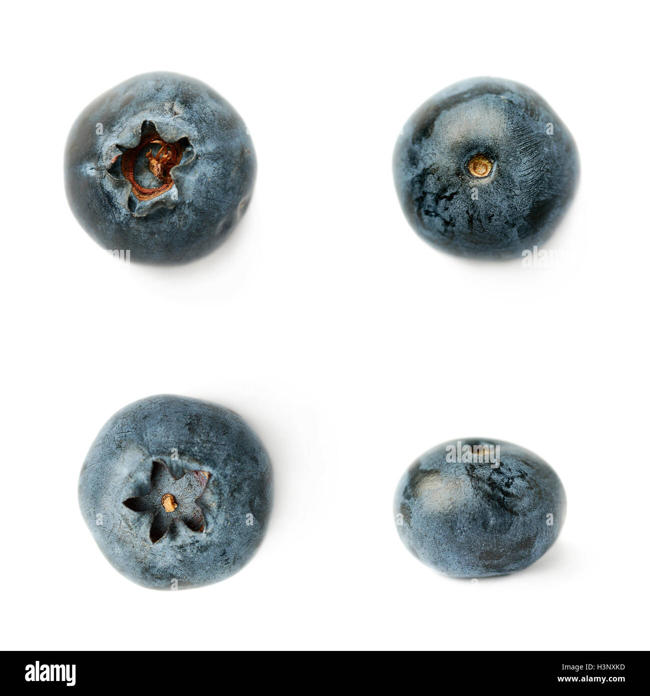 Set of Single berry of Bilberry or blueberry over isolated white ...