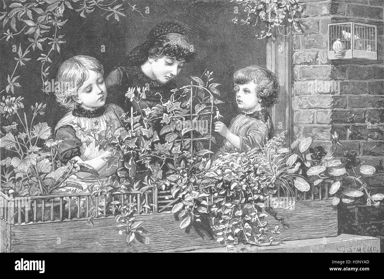 LONDON Recreations poor-Window gardening children 1883. The Graphic ...