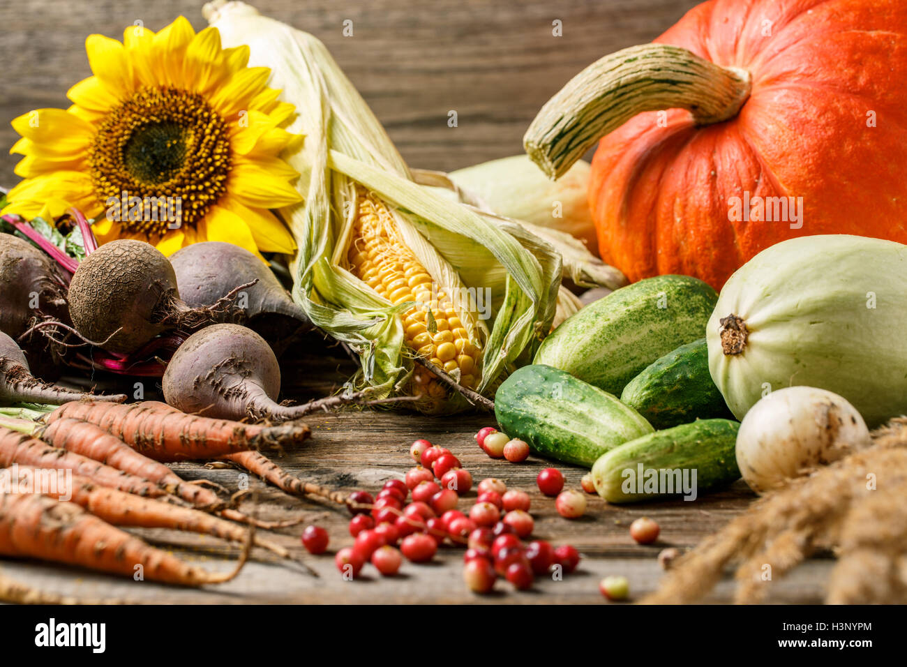 Harvest or Thanksgiving background Stock Photo - Alamy