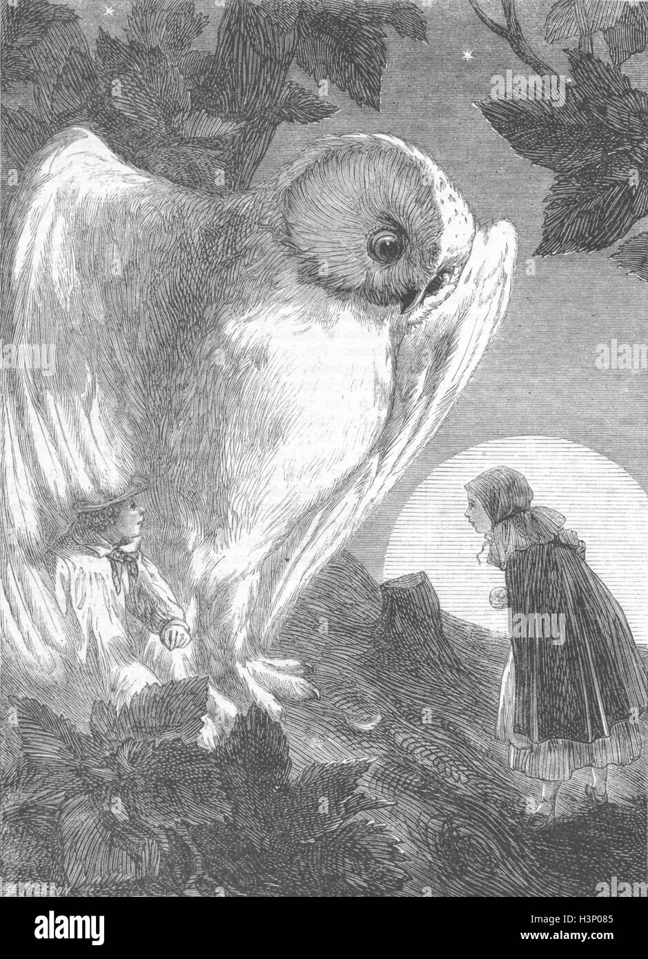 BIRDS 'Tell us a story' Buffy-Bob, Tricksey-Wee, owl 1863. Illustrated ...