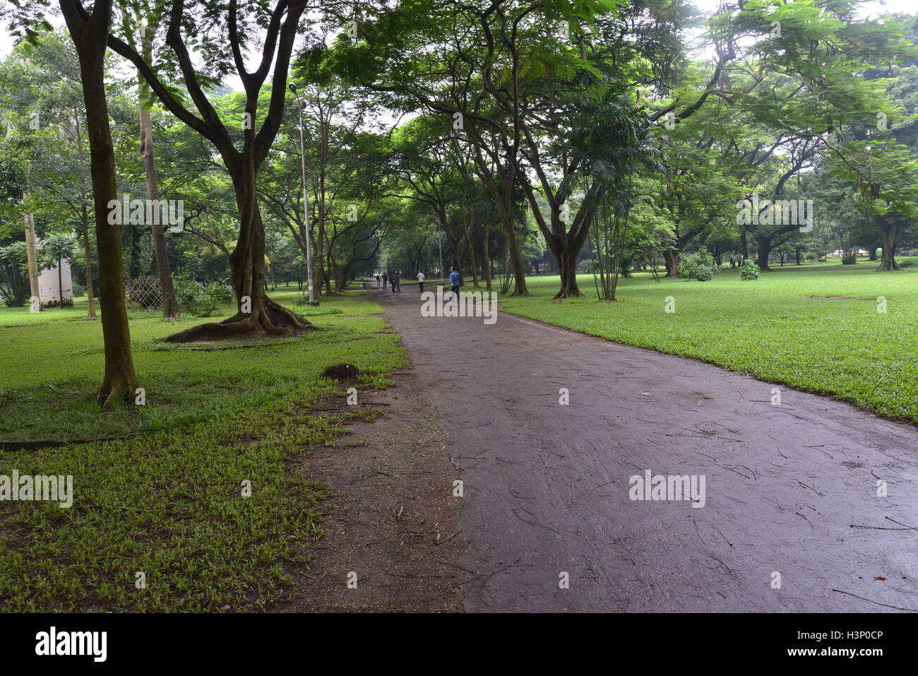 Bangladeshi Citizens walking in the Ramna Park in Dhaka city in ...