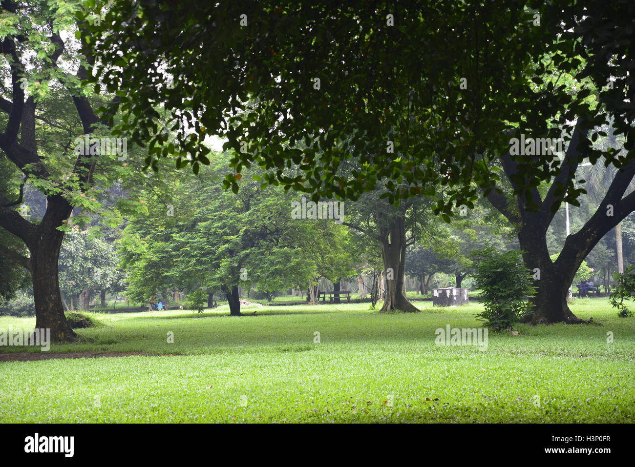 Bangladeshi Citizens walking in the Ramna Park in Dhaka city in Bangladesh Stock Photo - Alamy