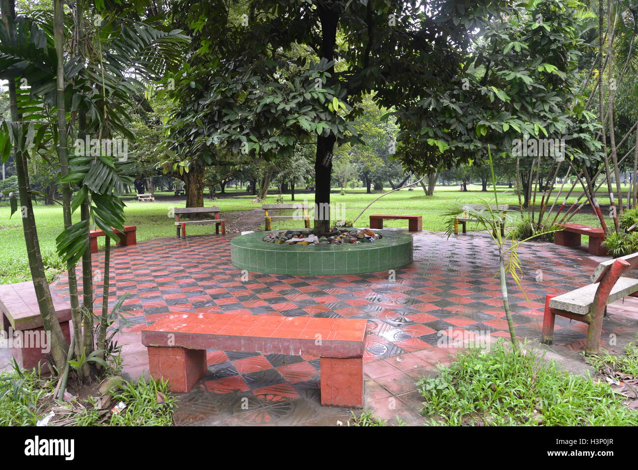 Bangladeshi Citizens walking in the Ramna Park in Dhaka city in ...