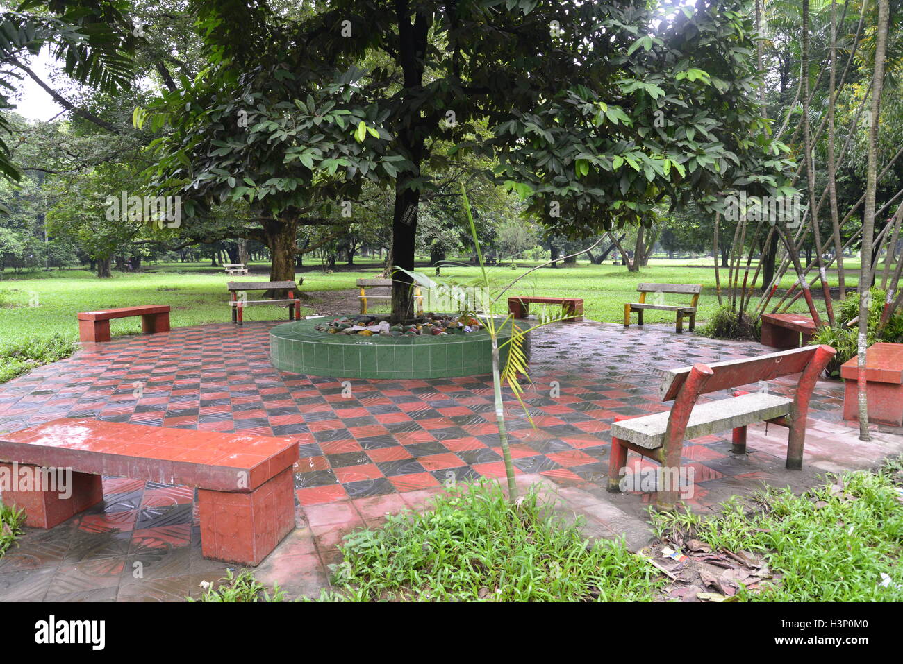 Bangladeshi Citizens walking in the Ramna Park in Dhaka city in ...
