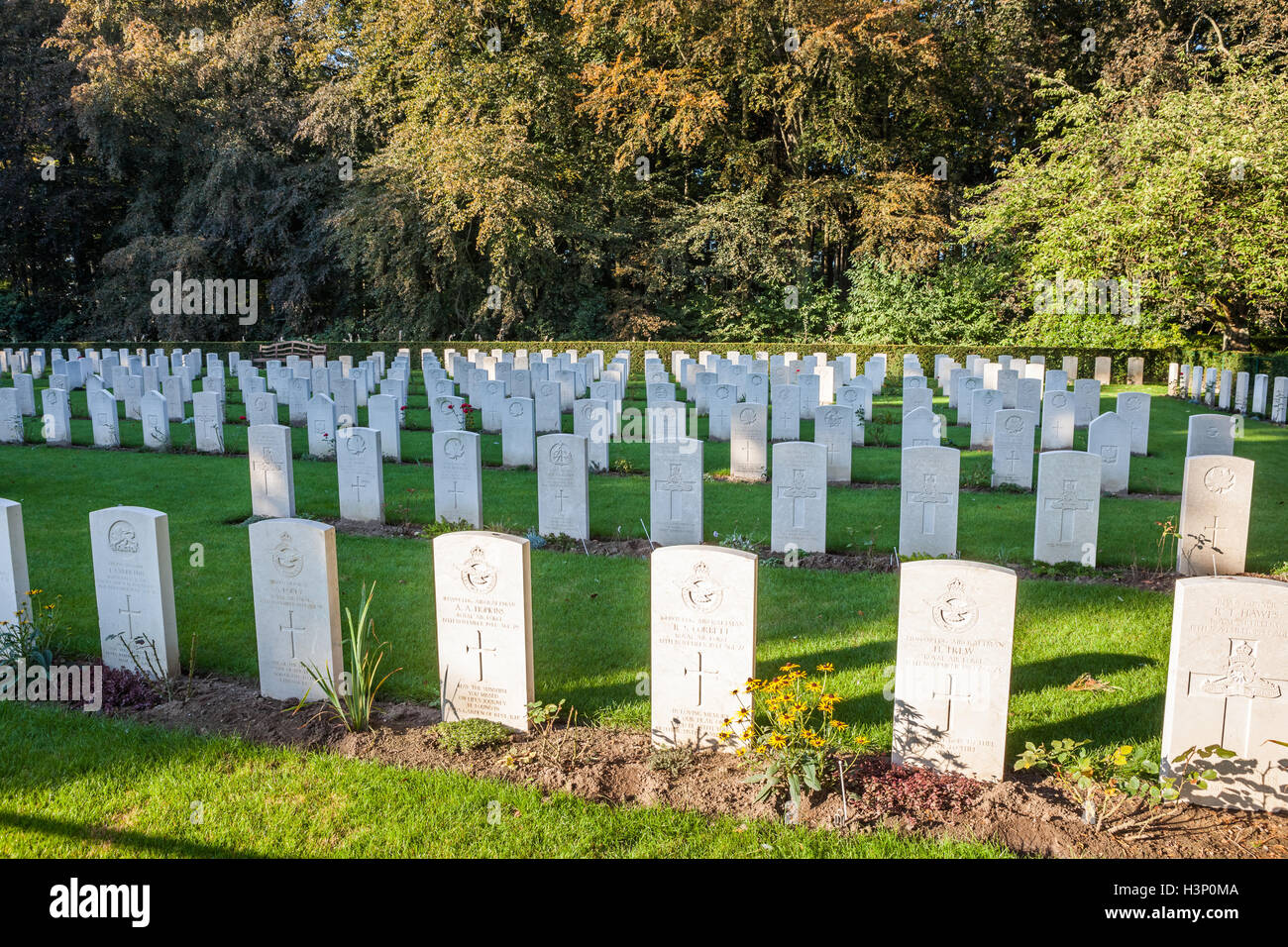 in the cemetery of the deceased soldiers Stock Photo - Alamy
