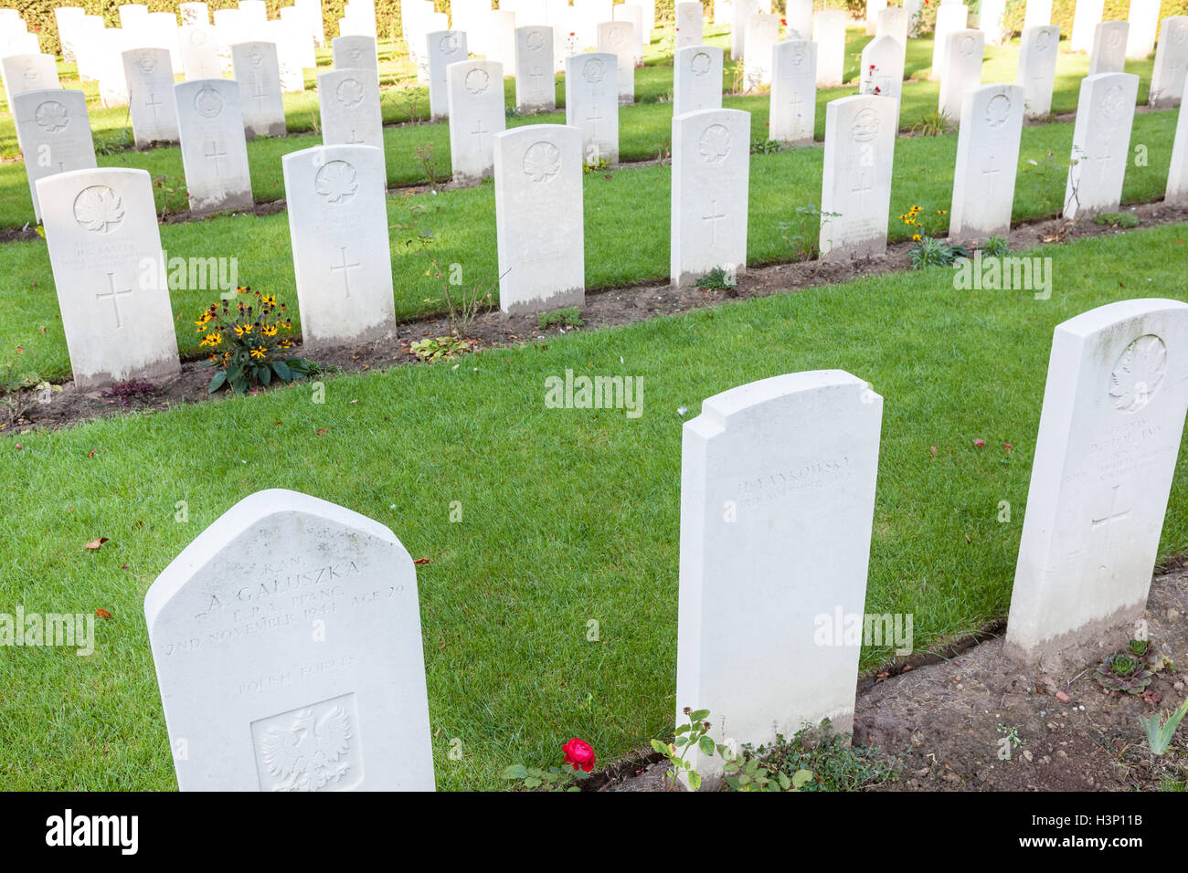 in the cemetery of the deceased soldiers Stock Photo - Alamy