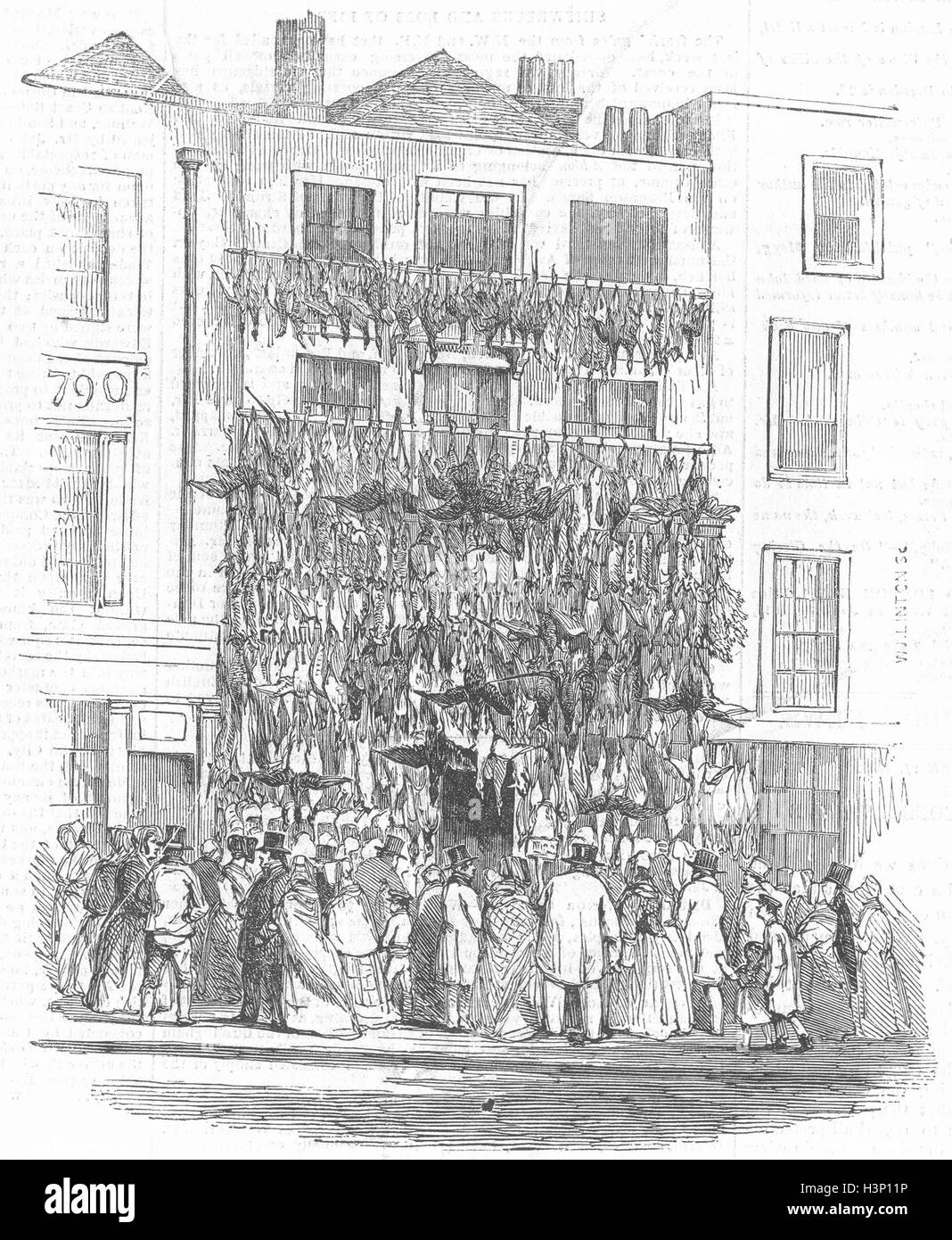 Poulterer hi-res stock photography and images - Alamy