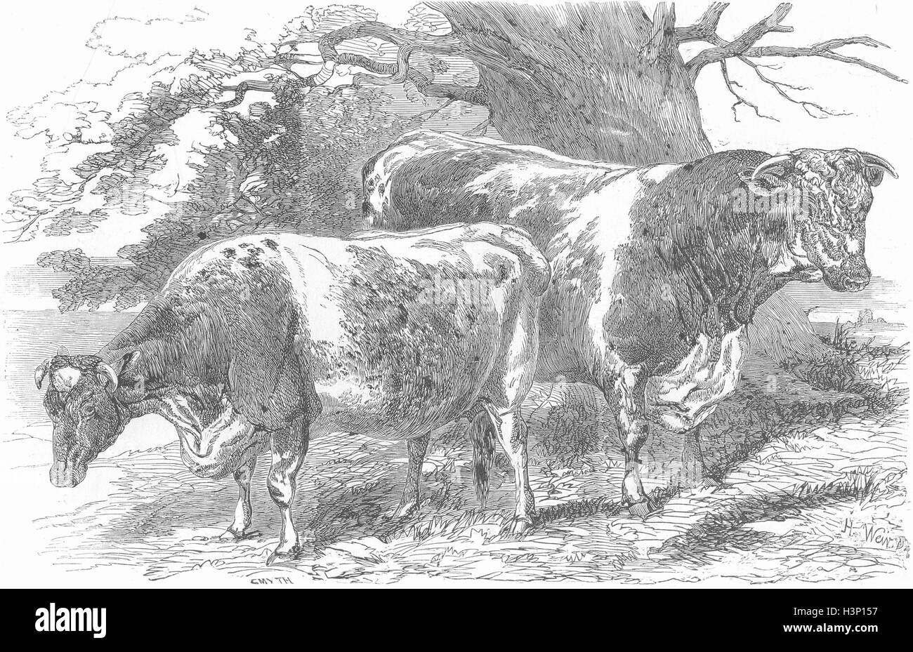 Lord Berners High Resolution Stock Photography and Images - Alamy