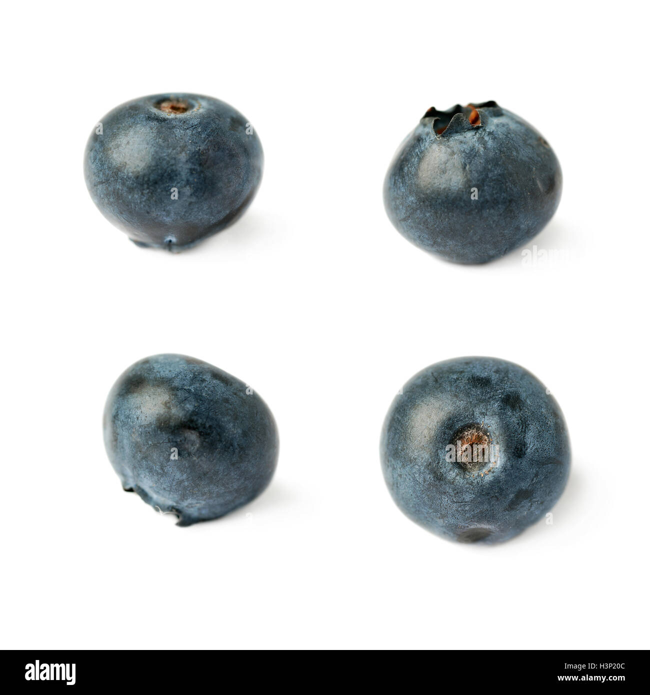 Set of Single berry of Bilberry or blueberry over isolated white ...