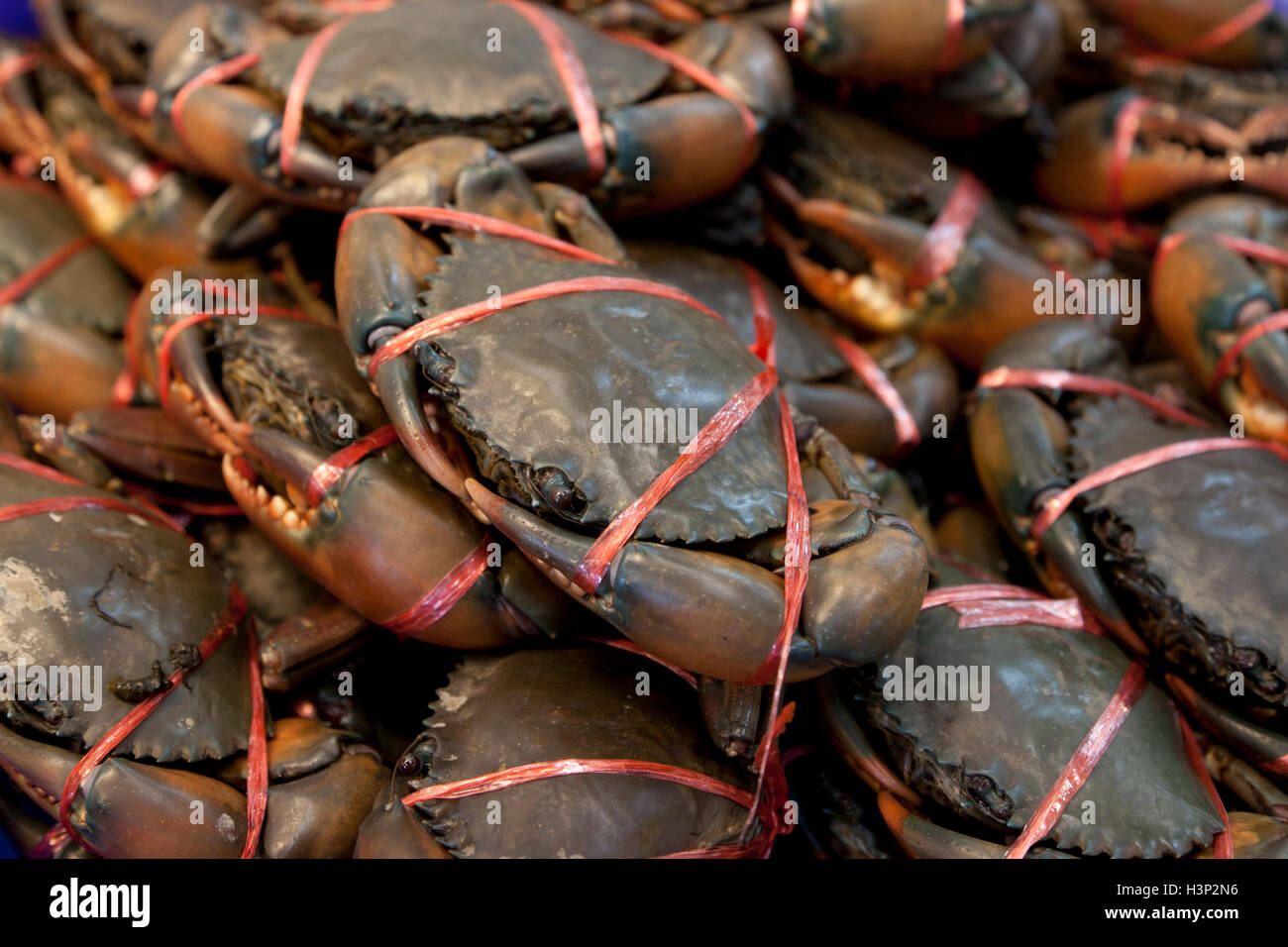 Crabs for sale hi-res stock photography and images - Alamy