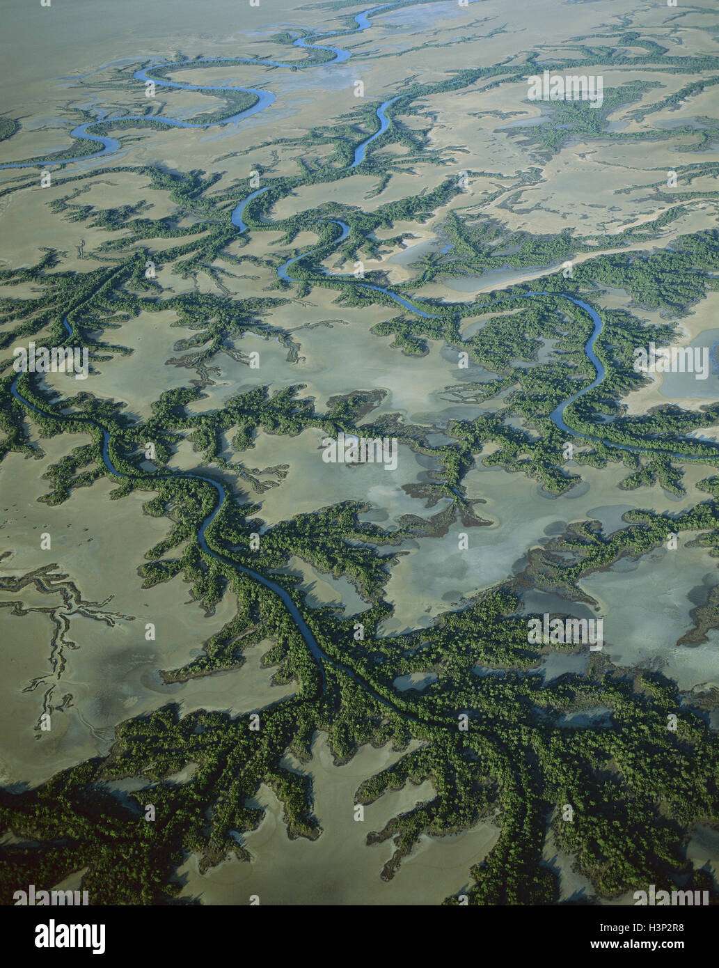 Roper River delta Stock Photo - Alamy