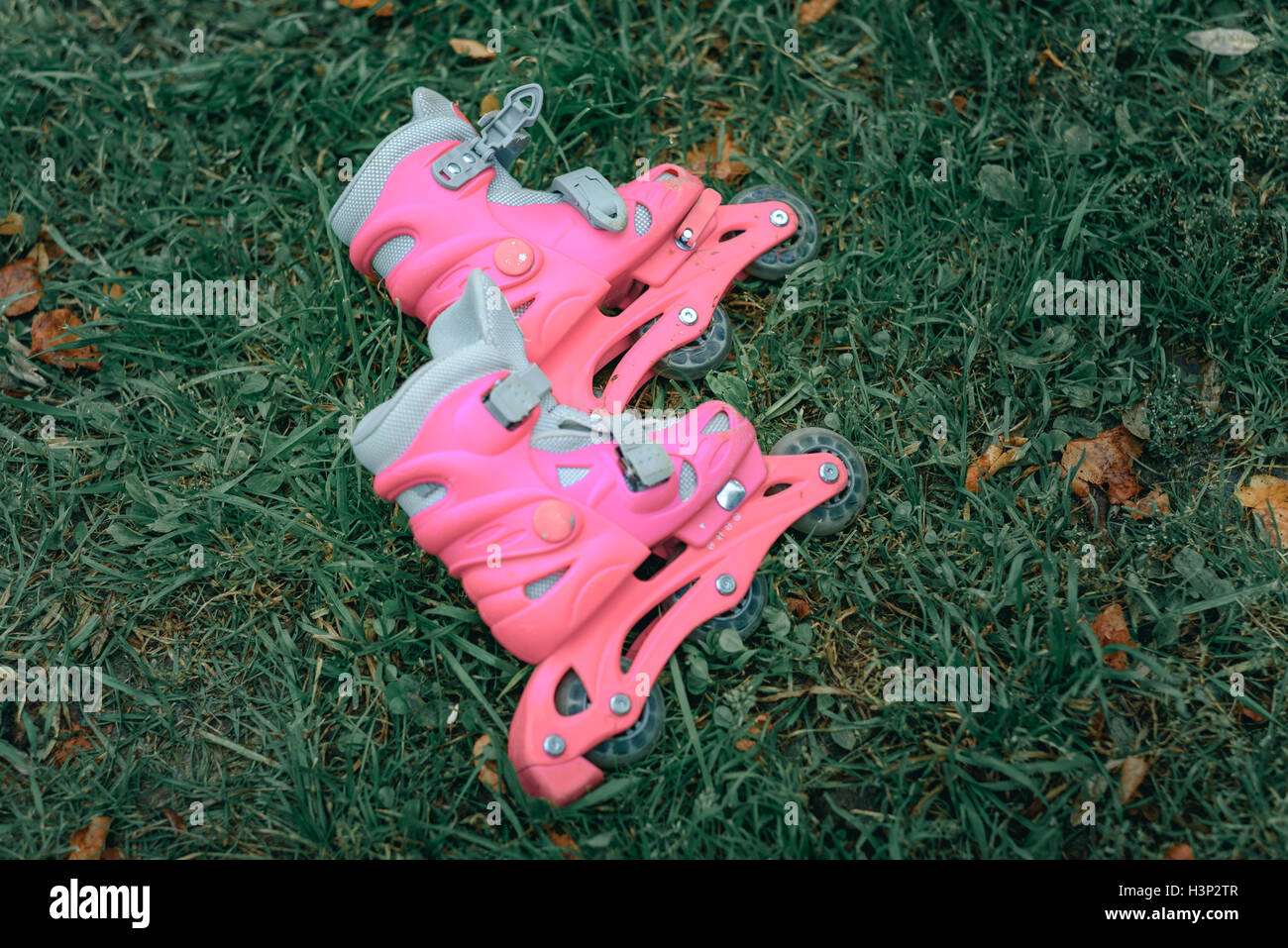 pink children's roller skates lying on the green grass Stock Photo - Alamy