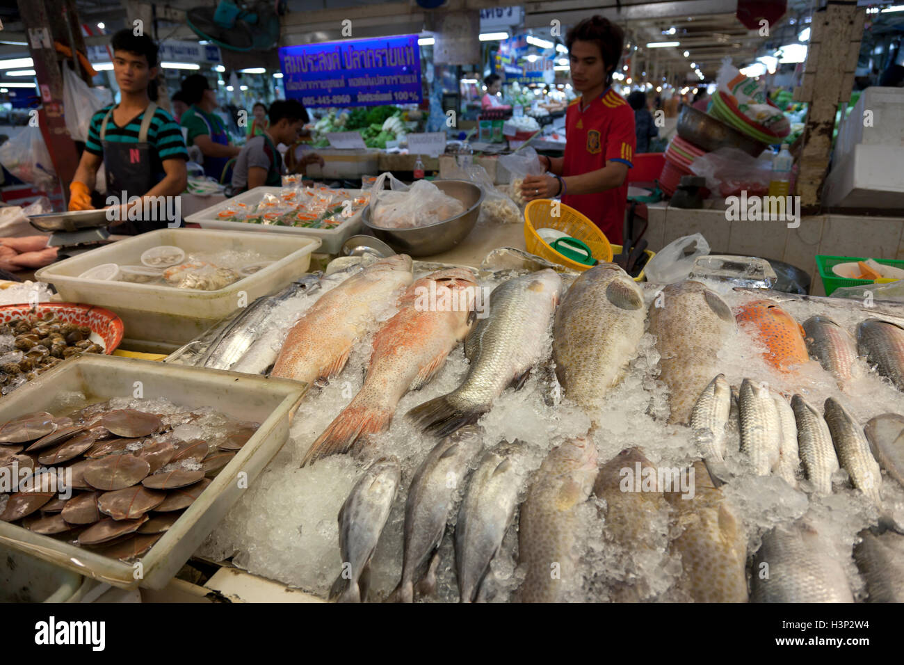 A fish stall at Or Tor Gor market in Bangkok in Thailand Stock Photo ...