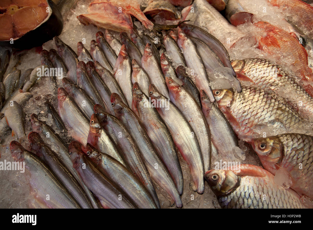 Fresh fish seafood assortment hi-res stock photography and images - Alamy