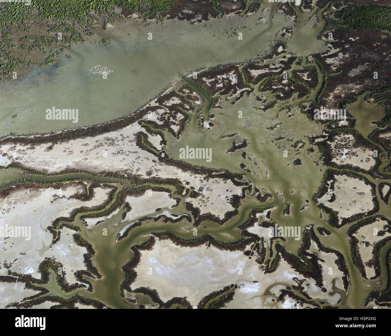 Creek flowing into Limmen Bight Stock Photo - Alamy