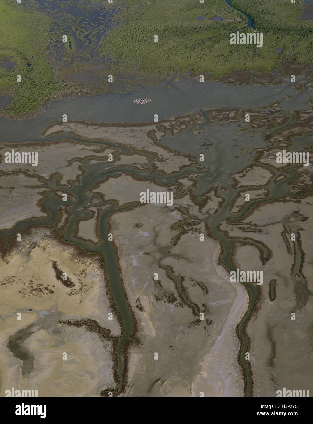 Coastal biome hi-res stock photography and images - Alamy