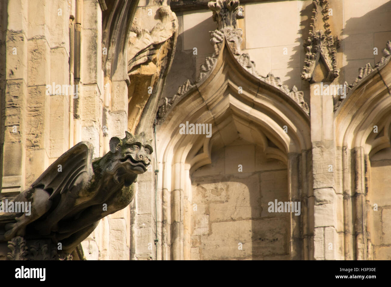 Gargoyle York minster cathedral church Stock Photo - Alamy