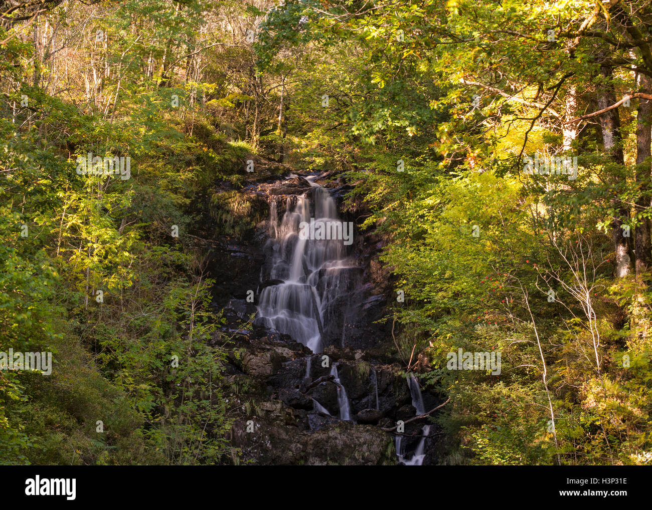 Little Fawn Waterfall Stock Photo - Alamy