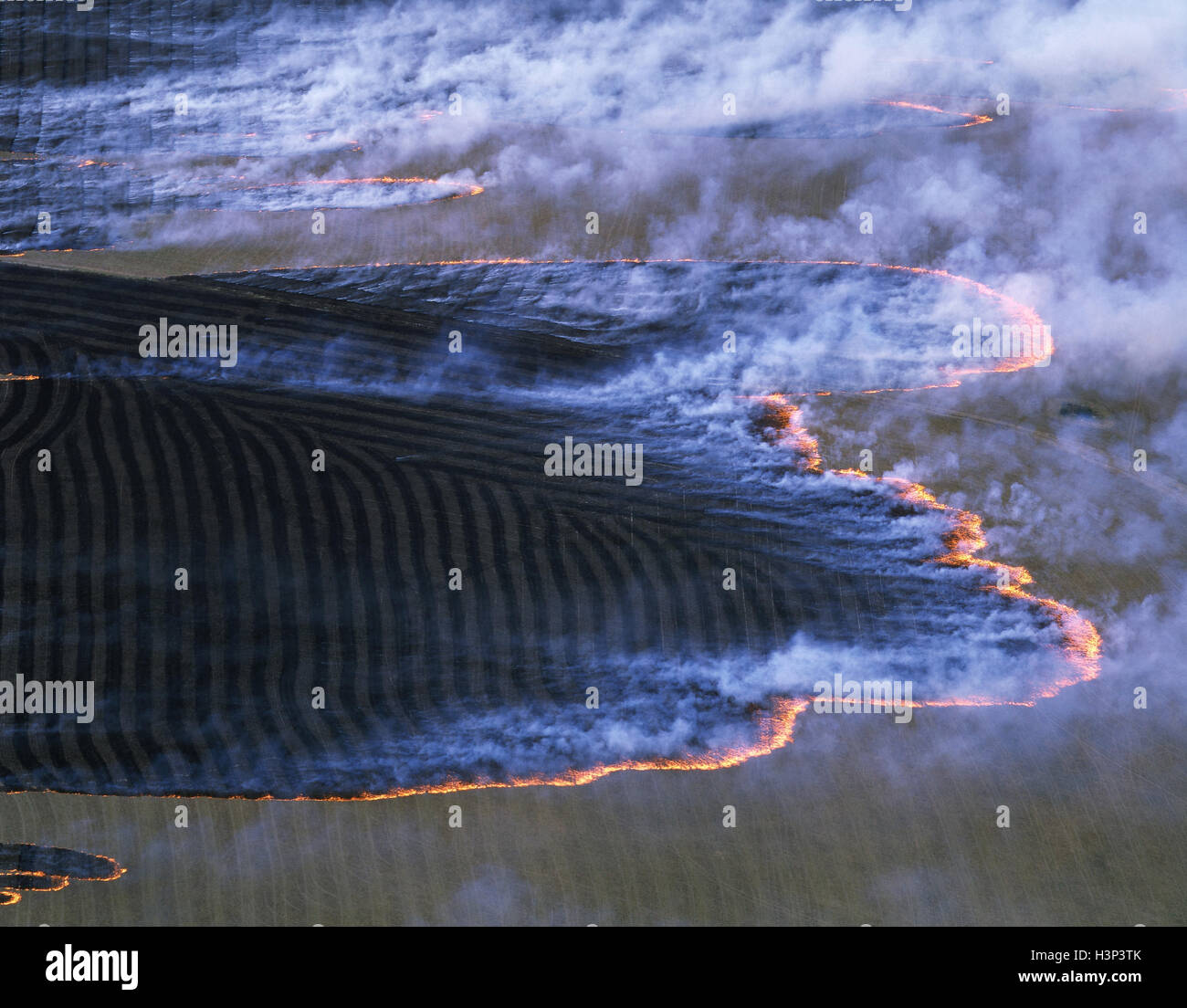 Land crop environment hi-res stock photography and images - Alamy