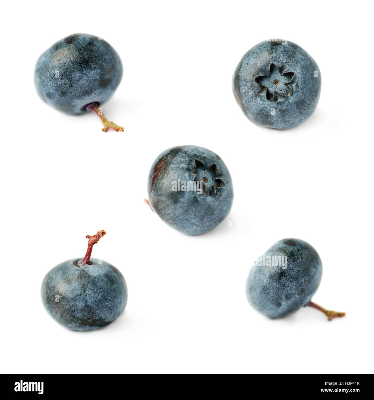 Set of Single berry of Bilberry or blueberry over isolated white ...