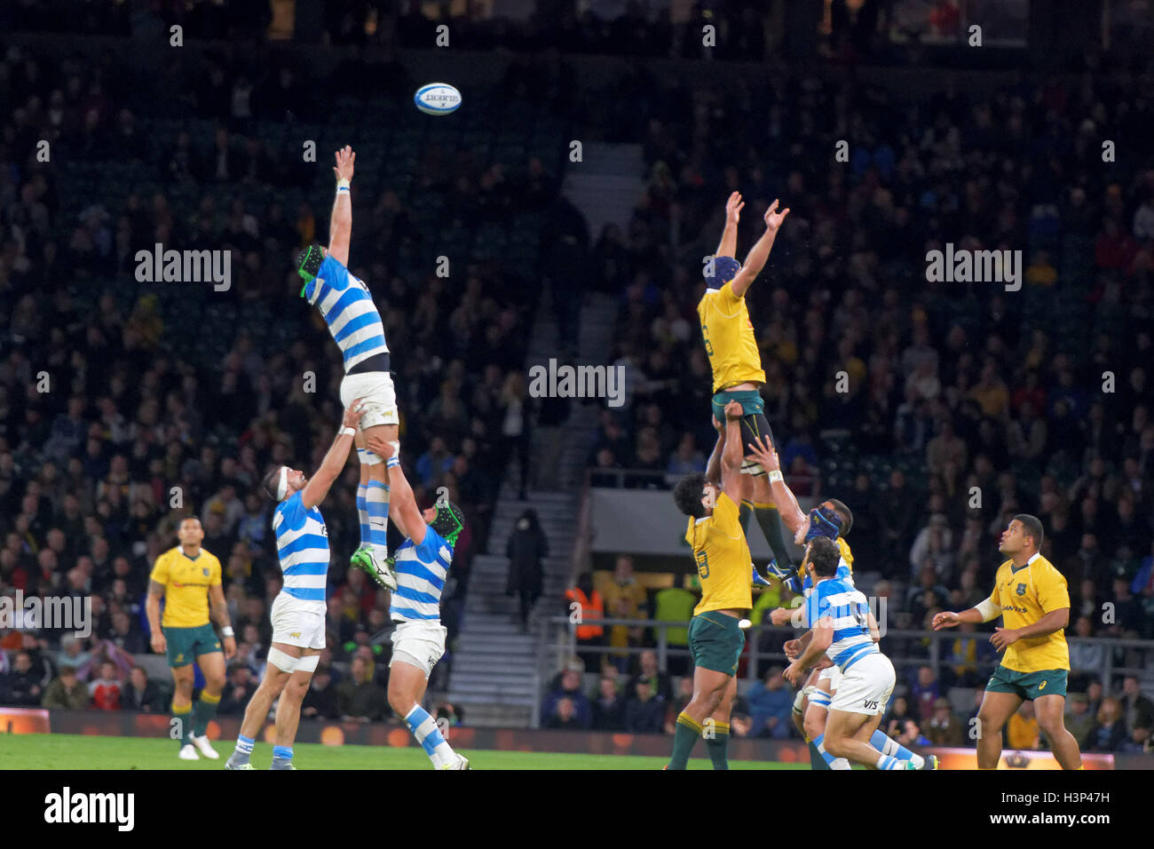 Lineout ball hi-res stock photography and images - Alamy